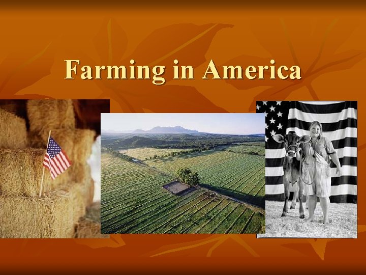 Farming in America American Farm Facts n n