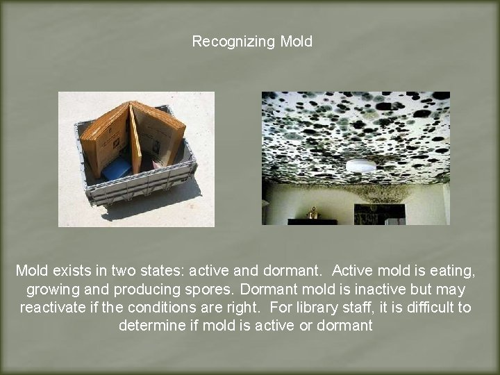 Recognizing Mold Rutgers University Libraries Collection Management and