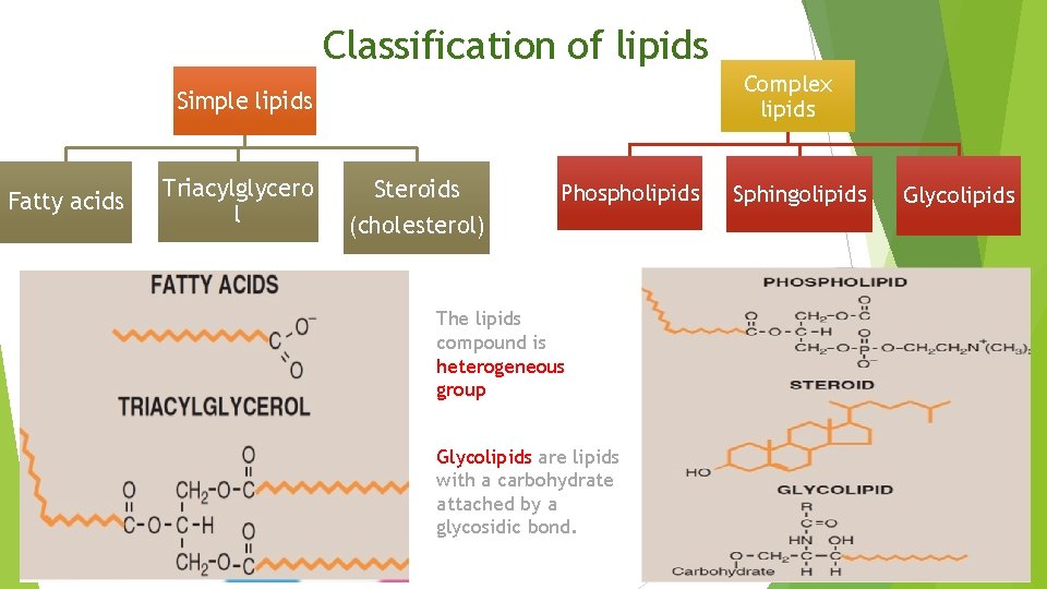 LIPIDS Color Index Important Extra Information Doctors slides