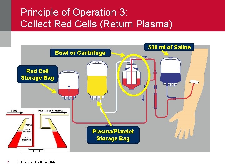 Collection Staff Training Double Red Cell Donation This
