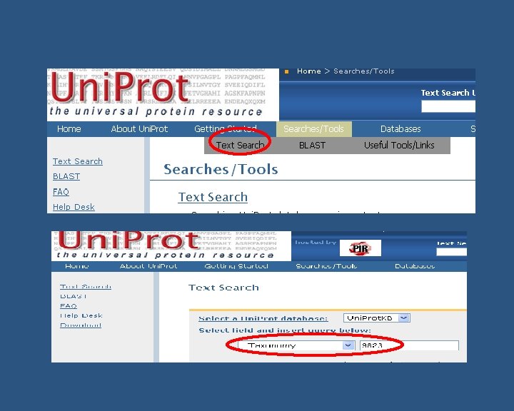 Modeling Functional Genomics Datasets CVM 8890 101 Lesson