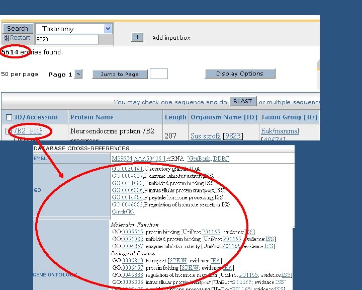 Modeling Functional Genomics Datasets CVM 8890 101 Lesson