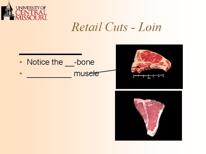 Cuts of Beef Lesson 3 Unit Meats Advanced