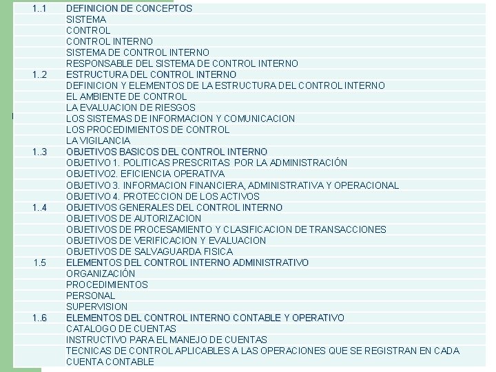ESTABLECIMIENTO DE SISTEMAS DE CONTROL INTERNO LA FUNCIN