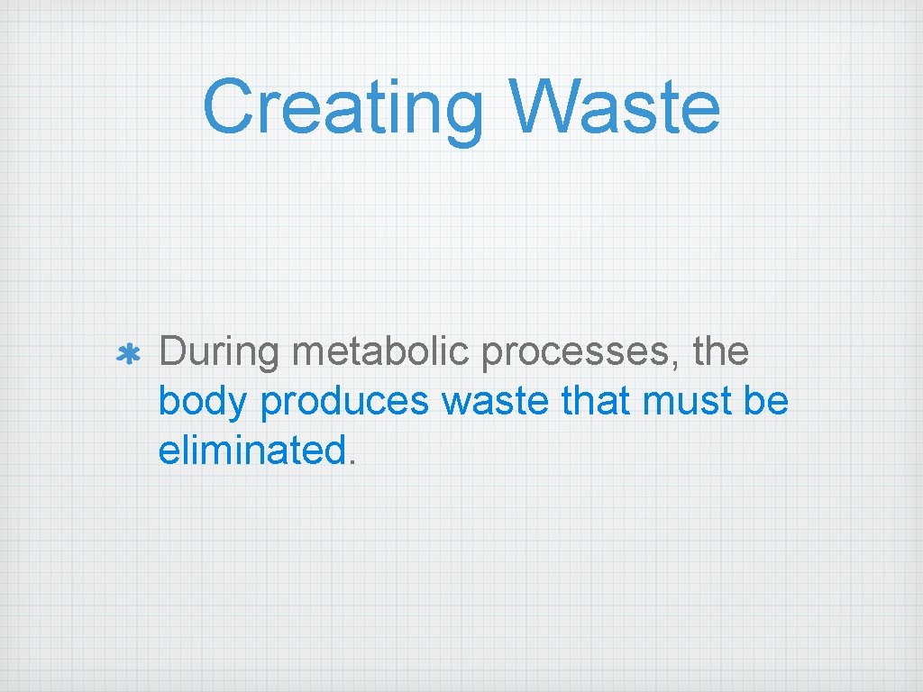 Excretory System Urine Good Hands https www youtube