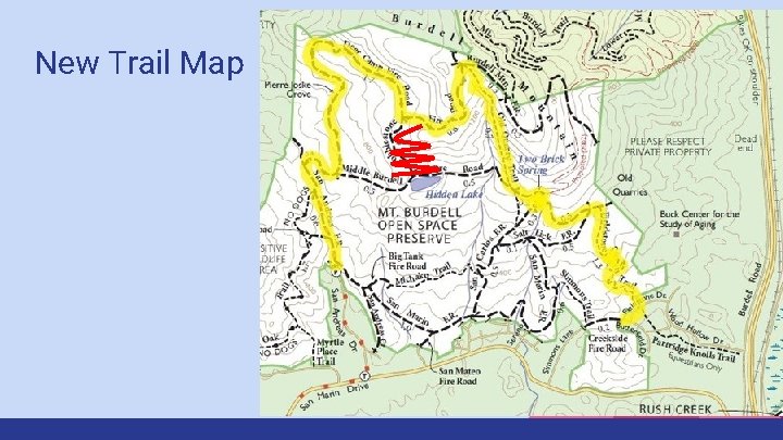 Redwood Planting Mt Burdell By Andrew Rice Andre