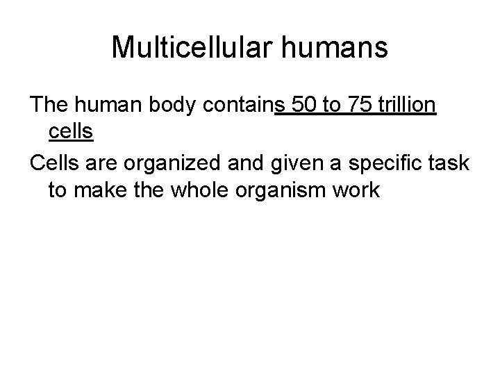 Intro to Body Systems and the Nervous System