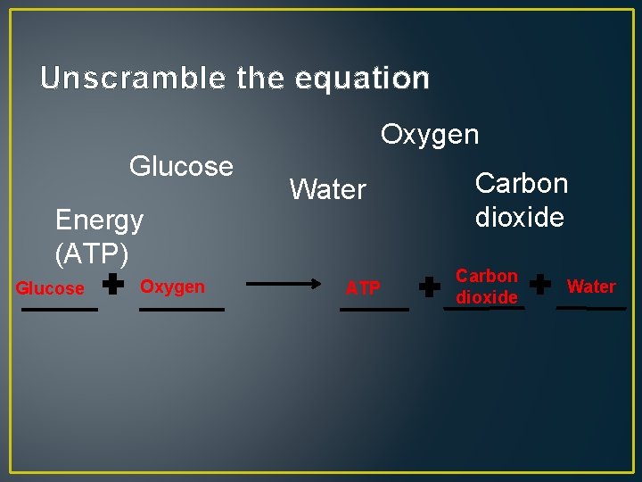 Cellular Respiration Unscramble the equation Oxygen Glucose Energy
