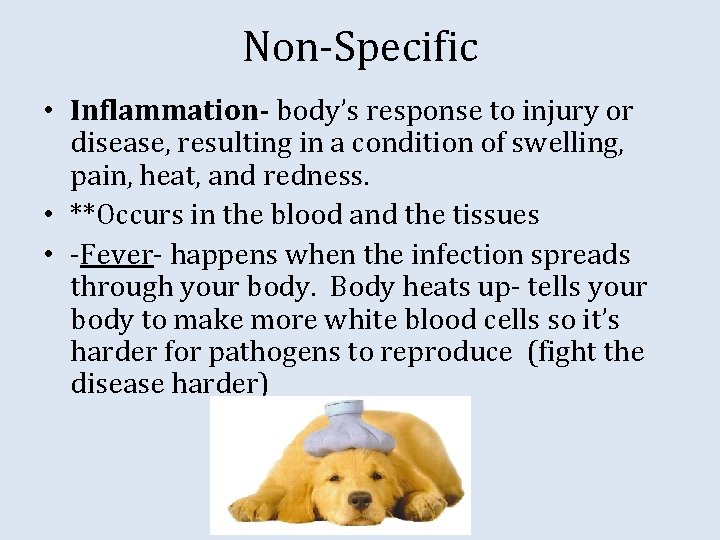 Everything You Wanted to Know About the Immune