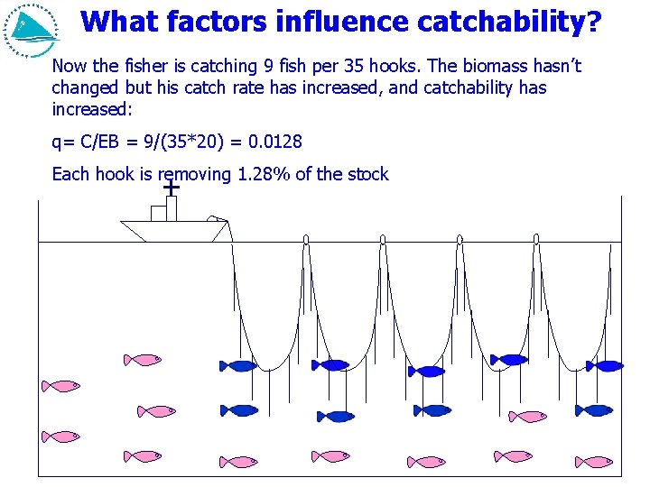 Day 3 Session 3 Parameter estimation Catchability and