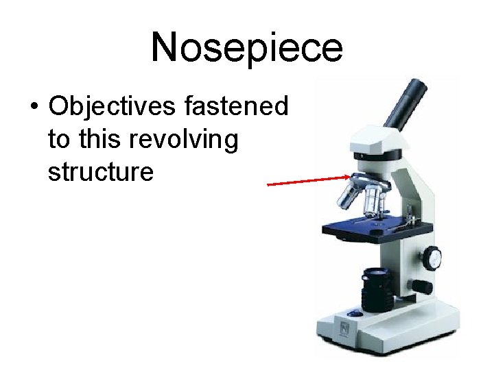Understanding the Microscope Honors Biology Compound Microscope Contains