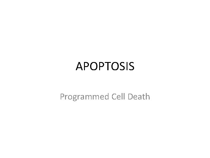 APOPTOSIS Programmed Cell Death Concept 11 5 Apoptosis