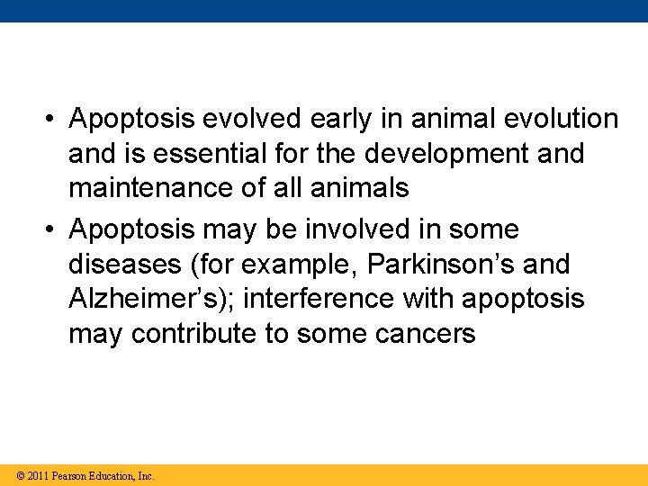 APOPTOSIS Programmed Cell Death Concept 11 5 Apoptosis