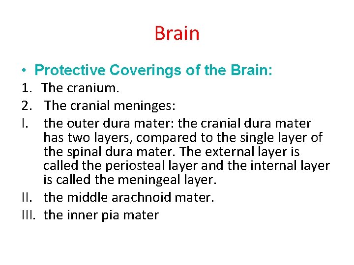 Nervous System Brain Major Parts of the Brain