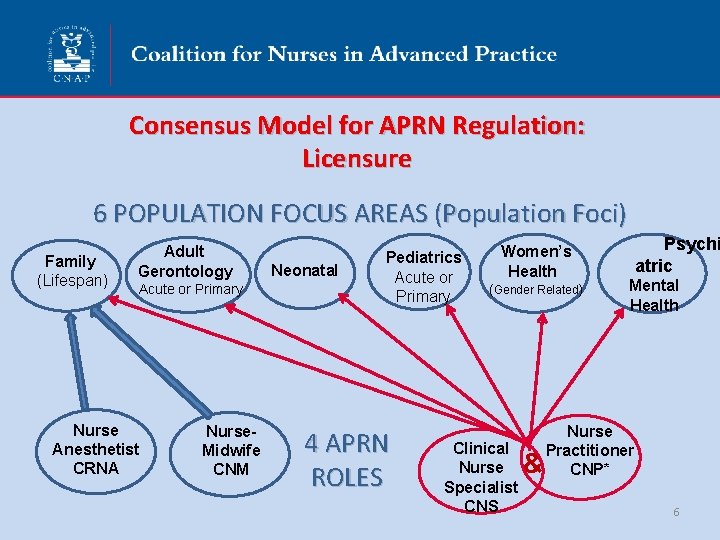 APRN Practice Professional Advocacy in Texas Lynda Woolbert