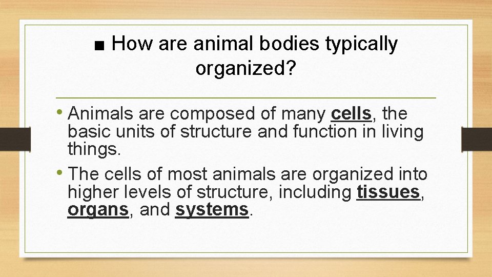 What Is an Animal Outline How are animal