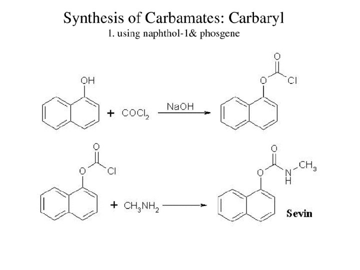 MODE OF ACTION OF CARBAMATES Note Adapted from