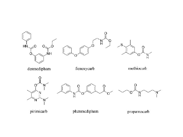 MODE OF ACTION OF CARBAMATES Note Adapted from