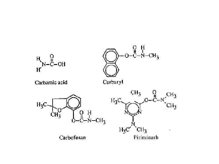 MODE OF ACTION OF CARBAMATES Note Adapted from