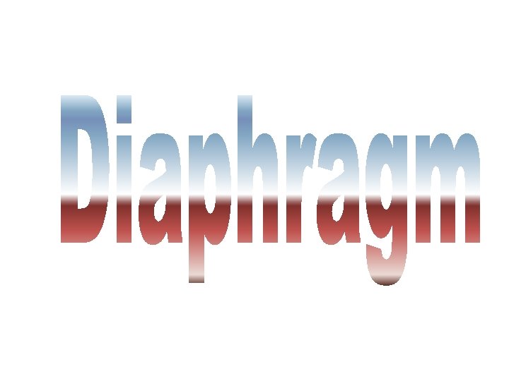 Objectives Discuss the origin and insertion of diaphragm