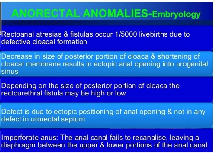 Anorectal Malformation Imperforate Anus Dr Saqib Ismail Assistant