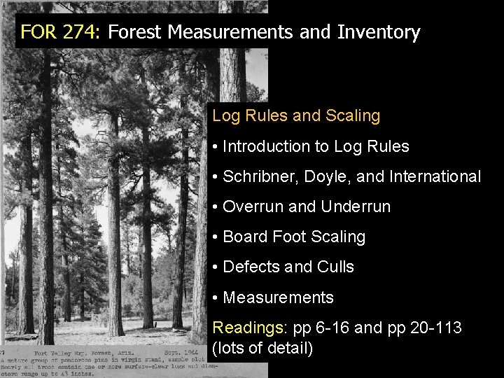 FOR 274 Forest Measurements and Inventory Log Rules