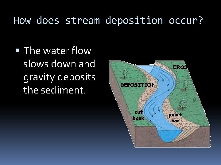 Aquatic Science WATERSHEDS What does a watershed look