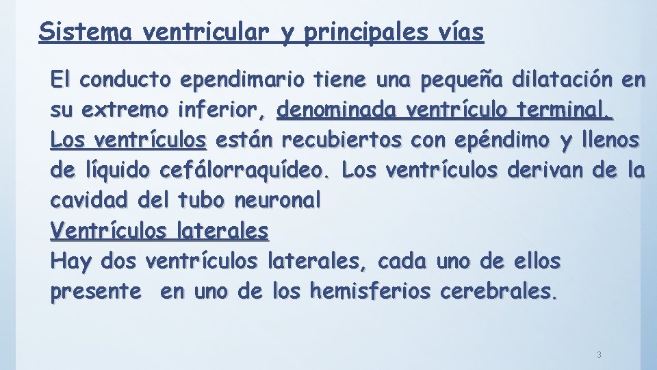 Neuroanatoma Profesor Dr Guillermo Adolfo Zanetti Alemn Ciclo