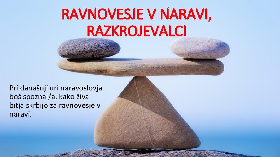 RAVNOVESJE V NARAVI RAZKROJEVALCI Pri dananji uri naravoslovja