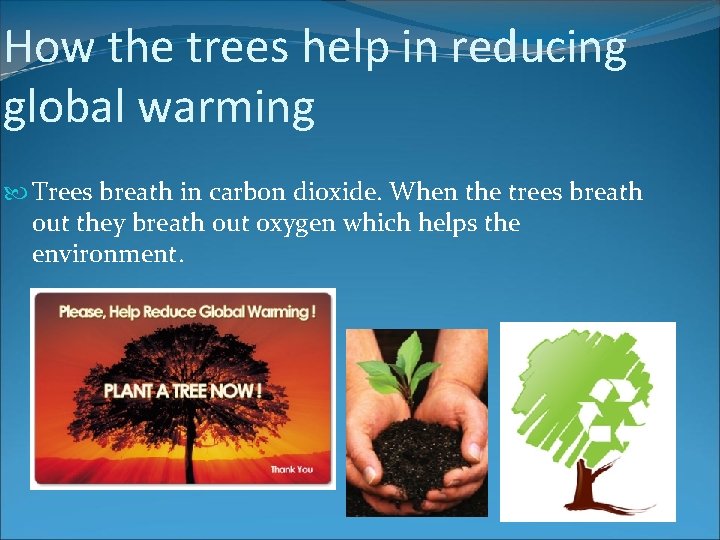 Our Concern for the environment By Kaylie Jordan