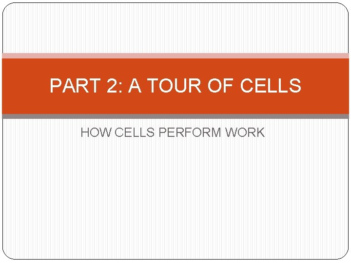 PART 2 A TOUR OF CELLS HOW CELLS