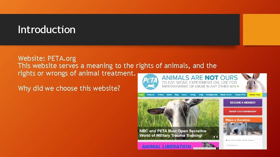 Website Analysis Group 5 Peta org Introduction Website