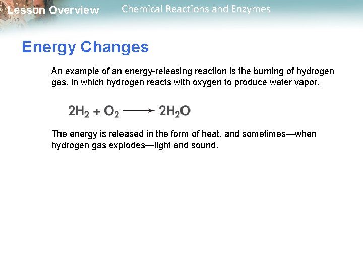 Lesson Overview Chemical Reactions and Enzymes 2 4