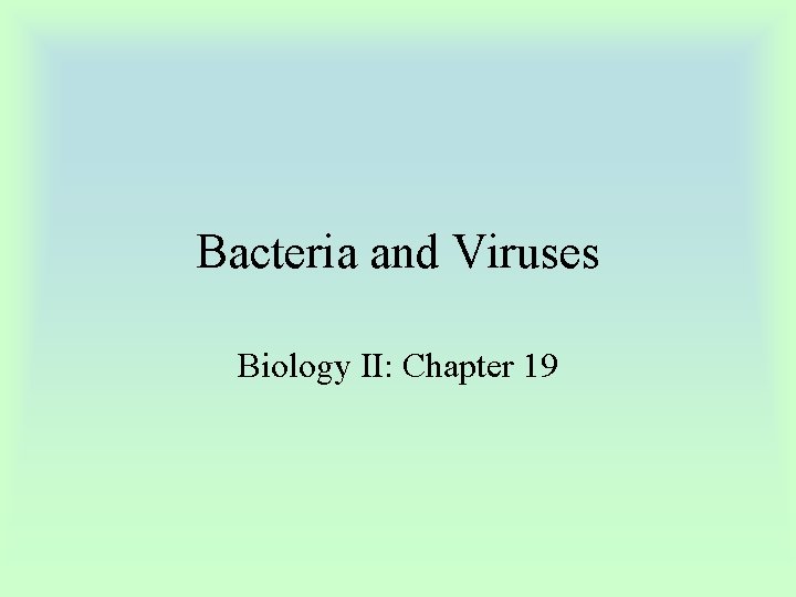 Bacteria and Viruses Biology II Chapter 19 Prokaryotes