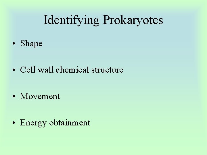 Bacteria and Viruses Biology II Chapter 19 Prokaryotes