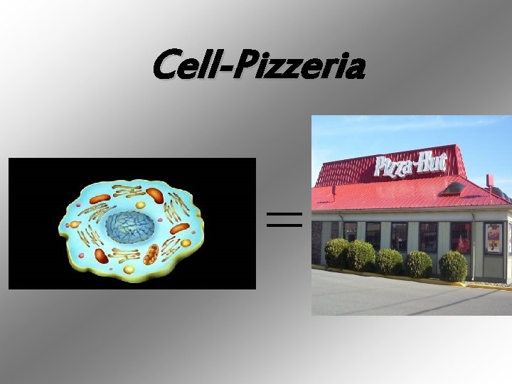 Cell Analogy Pizzeria By Shyla Bonham CellPizzeria Cell