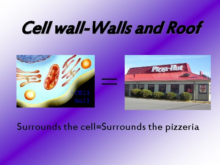 Cell Analogy Pizzeria By Shyla Bonham CellPizzeria Cell