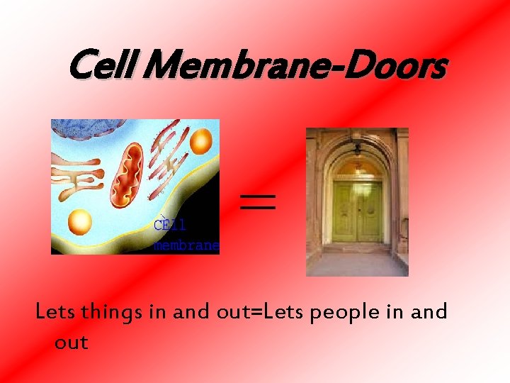 Cell Analogy Pizzeria By Shyla Bonham CellPizzeria Cell