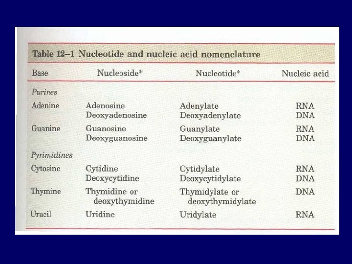 Metabolism of nucleic acids the structure function The