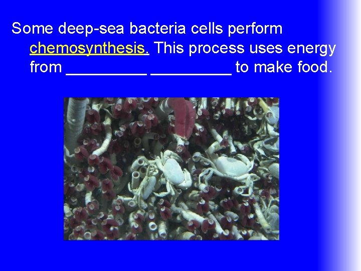 SCA Review Biochemistry SCA Review Biochemistry This is