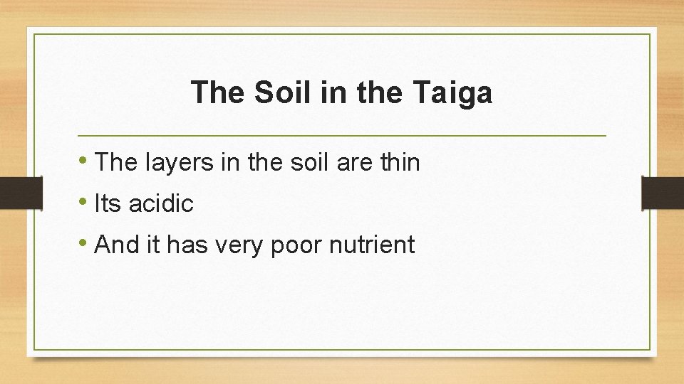 Taiga By Jaiya Thomas Maria pilgrim Hayden Duke