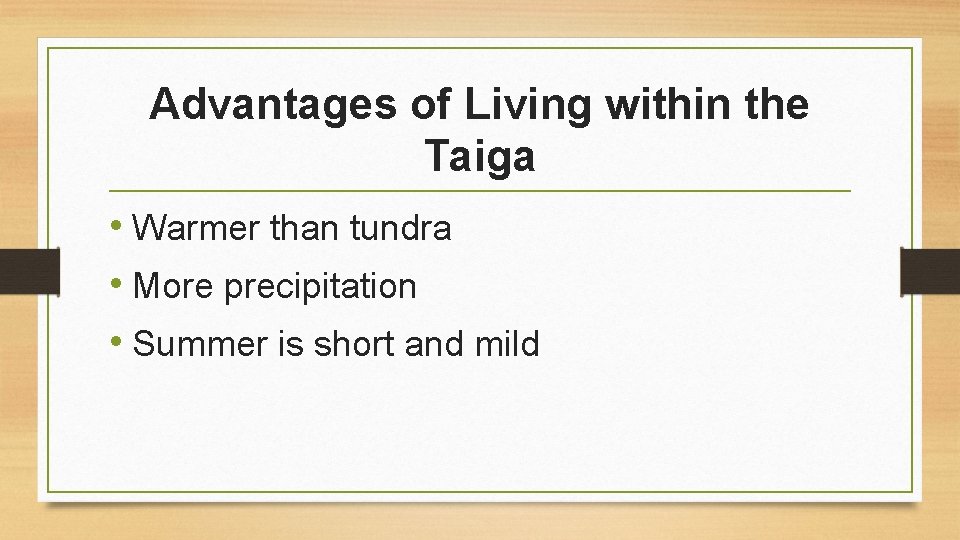 Taiga By Jaiya Thomas Maria pilgrim Hayden Duke