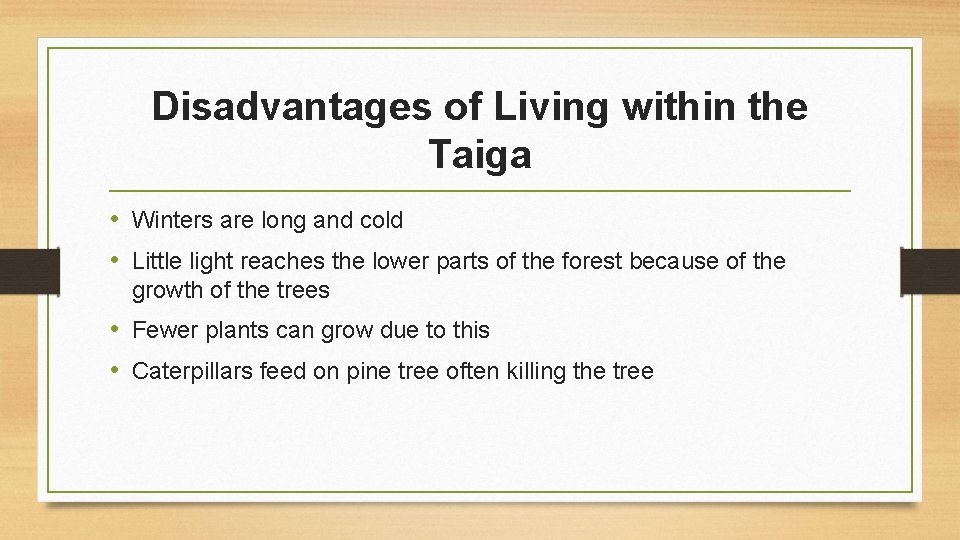 Taiga By Jaiya Thomas Maria pilgrim Hayden Duke