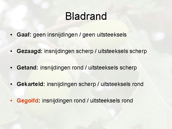 Blad En van de plantendelen op de stengel