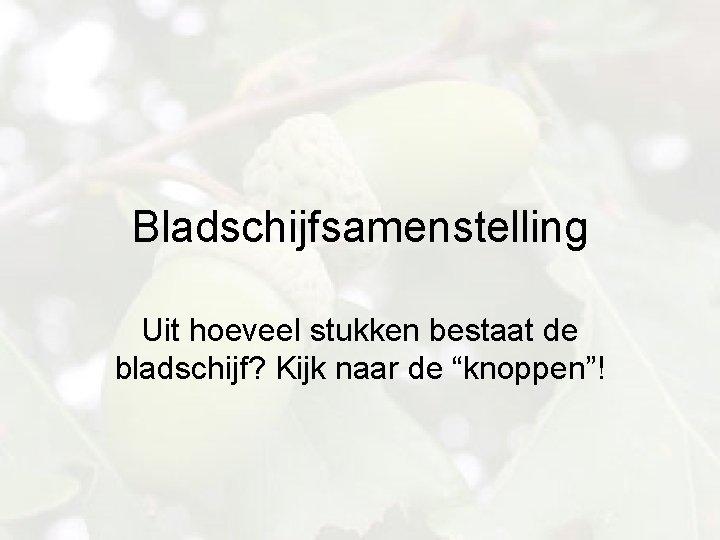 Blad En van de plantendelen op de stengel