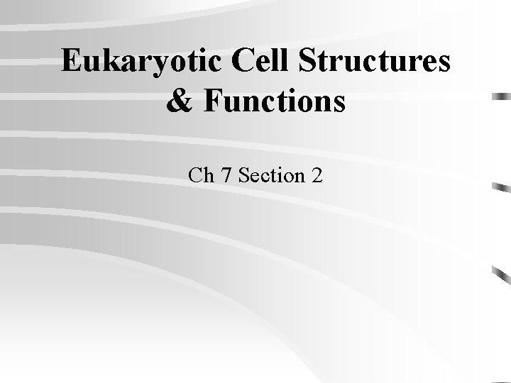 Eukaryotic Cell Structures Functions Ch 7 Section 2