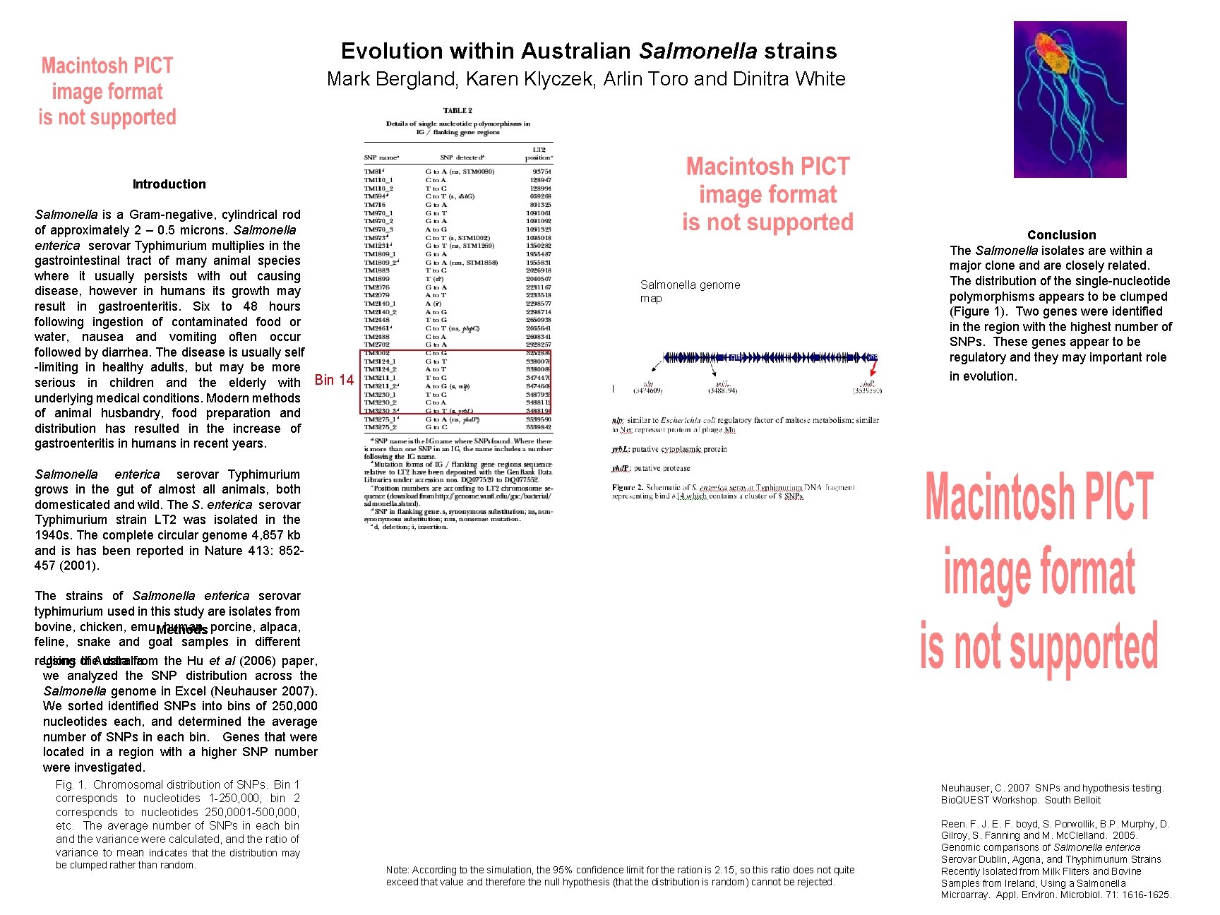 Evolution within Australian Salmonella strains Mark Bergland Karen