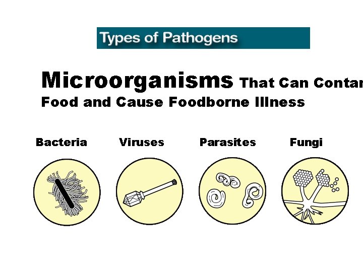 Food Safety Why All The Fuss QFO You
