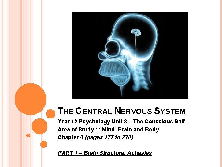 THE CENTRAL NERVOUS SYSTEM Year 12 Psychology Unit