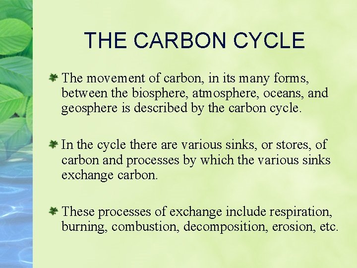 THE CARBON CYCLE THE CARBON CYCLE The movement